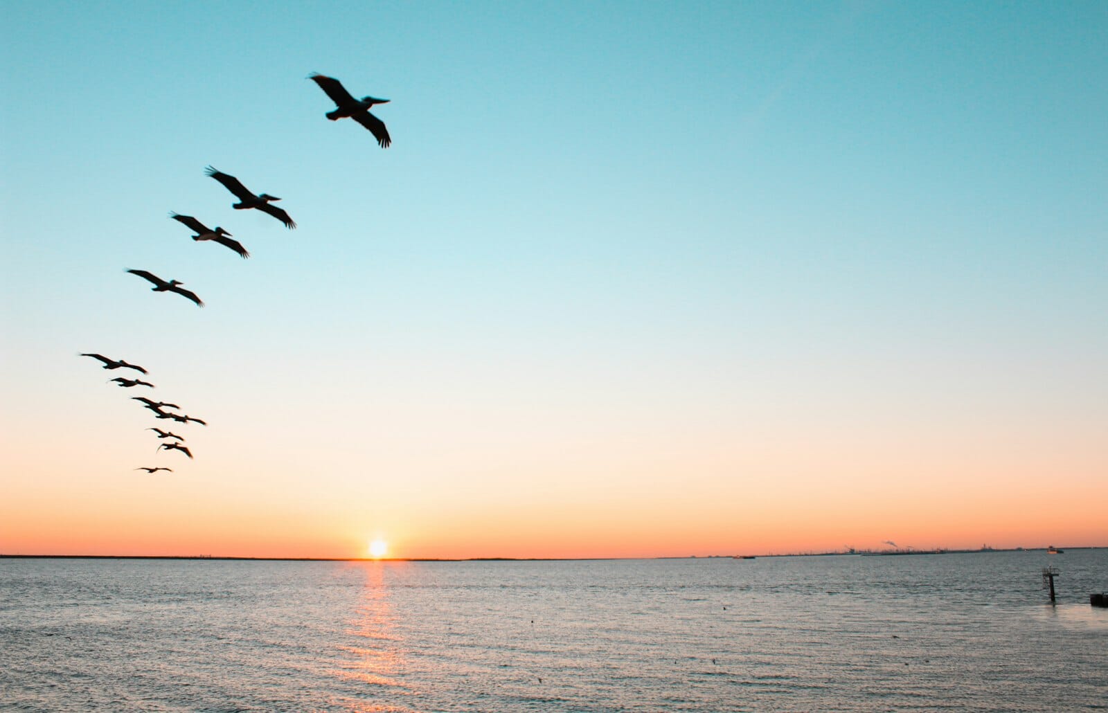The 14 Best US Beaches for Summer 2026 (and the Coastal Road Trips to ...