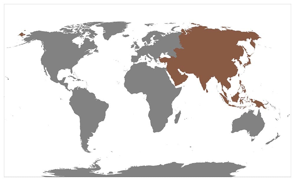 Asia Continent and Country Map | Mappr