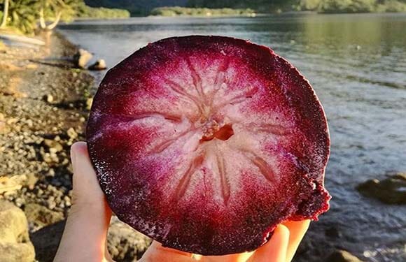 Rare Fruits in the World (Our Top 10 Picks) | Mappr