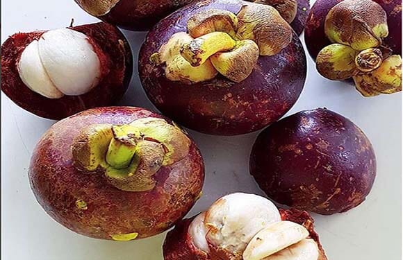 Rare Fruits in the World (Our Top 10 Picks) | Mappr