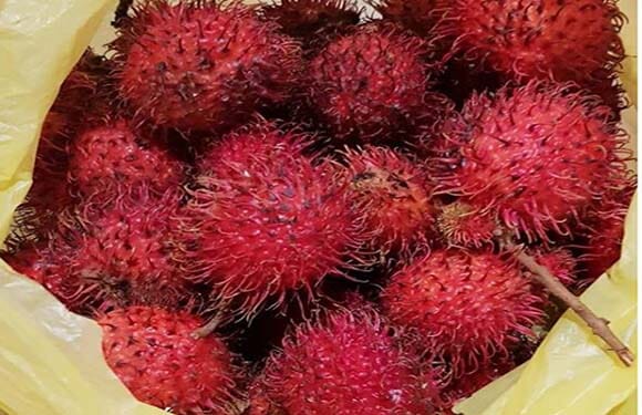 Rare Fruits in the World (Our Top 10 Picks) | Mappr