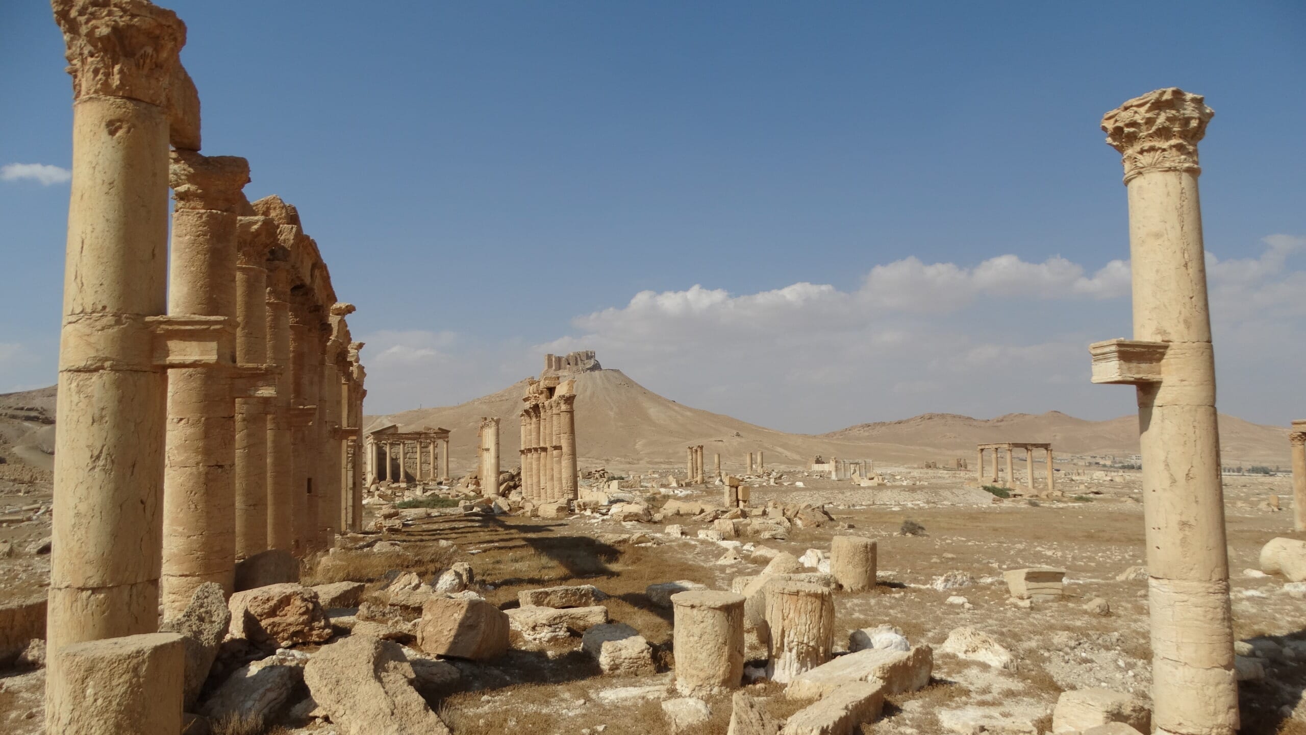 The Top 10 Largest Deserts in the World: A Journey Through Vast ...