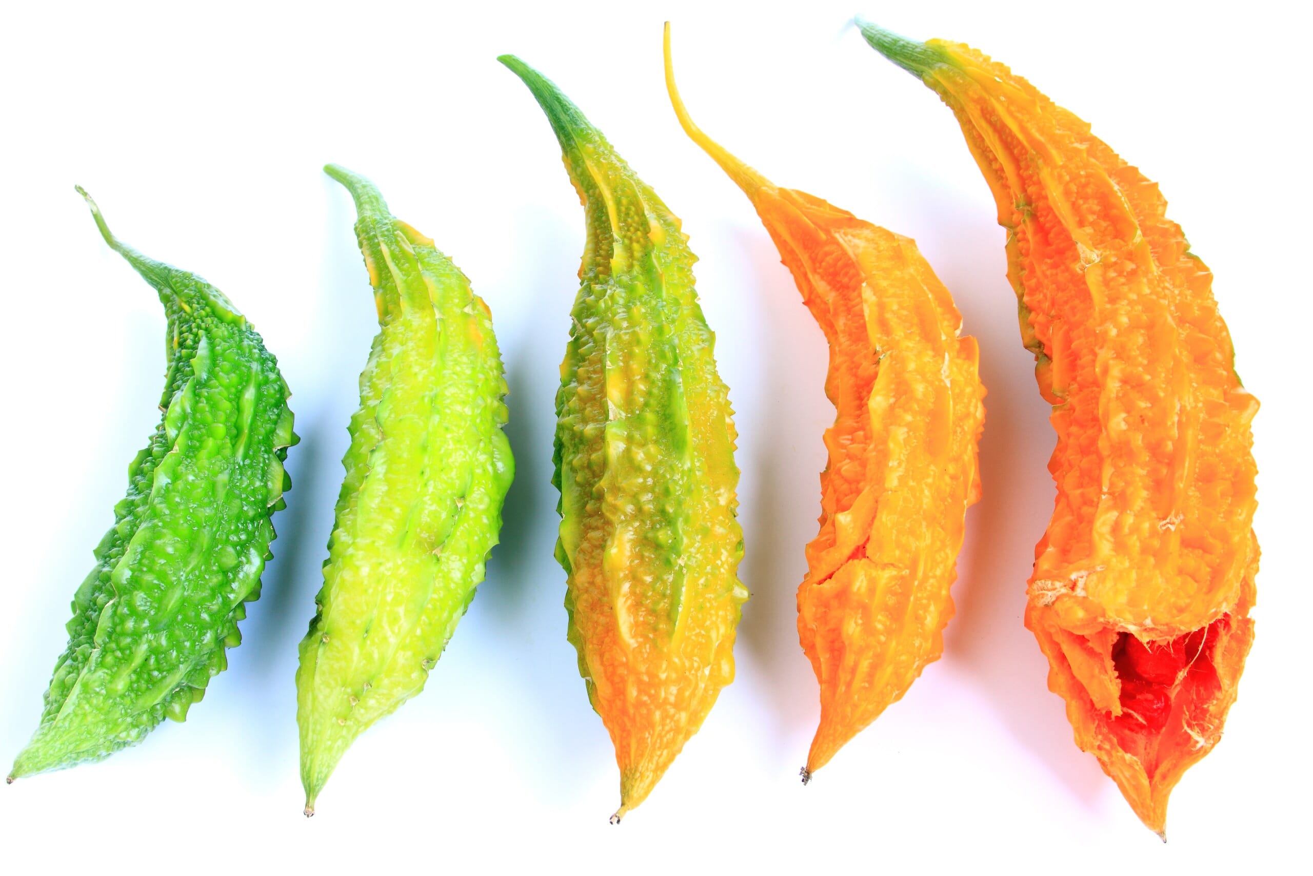 Rare Fruits in the World (Our Top 10 Picks) | Mappr