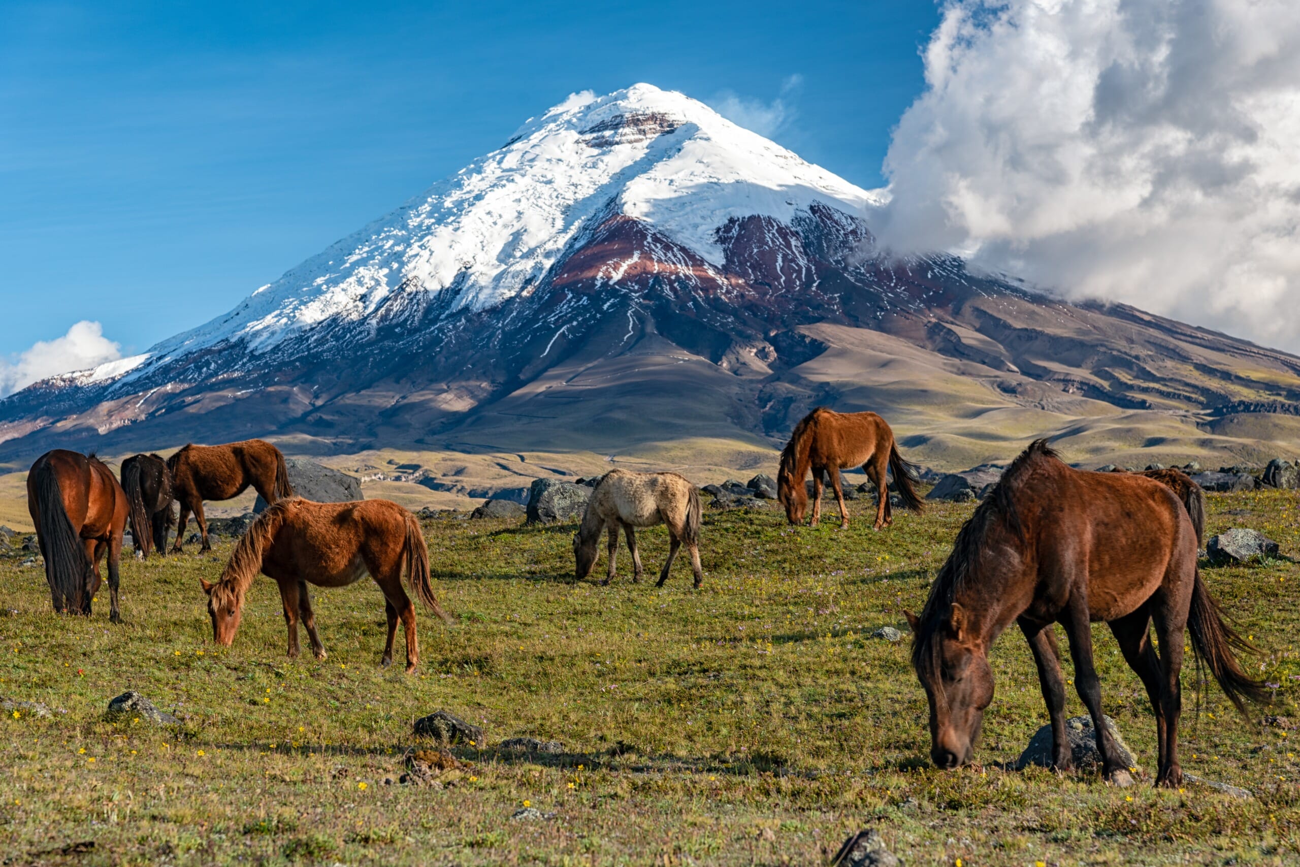 Where is Ecuador? 🇪🇨 | Mappr