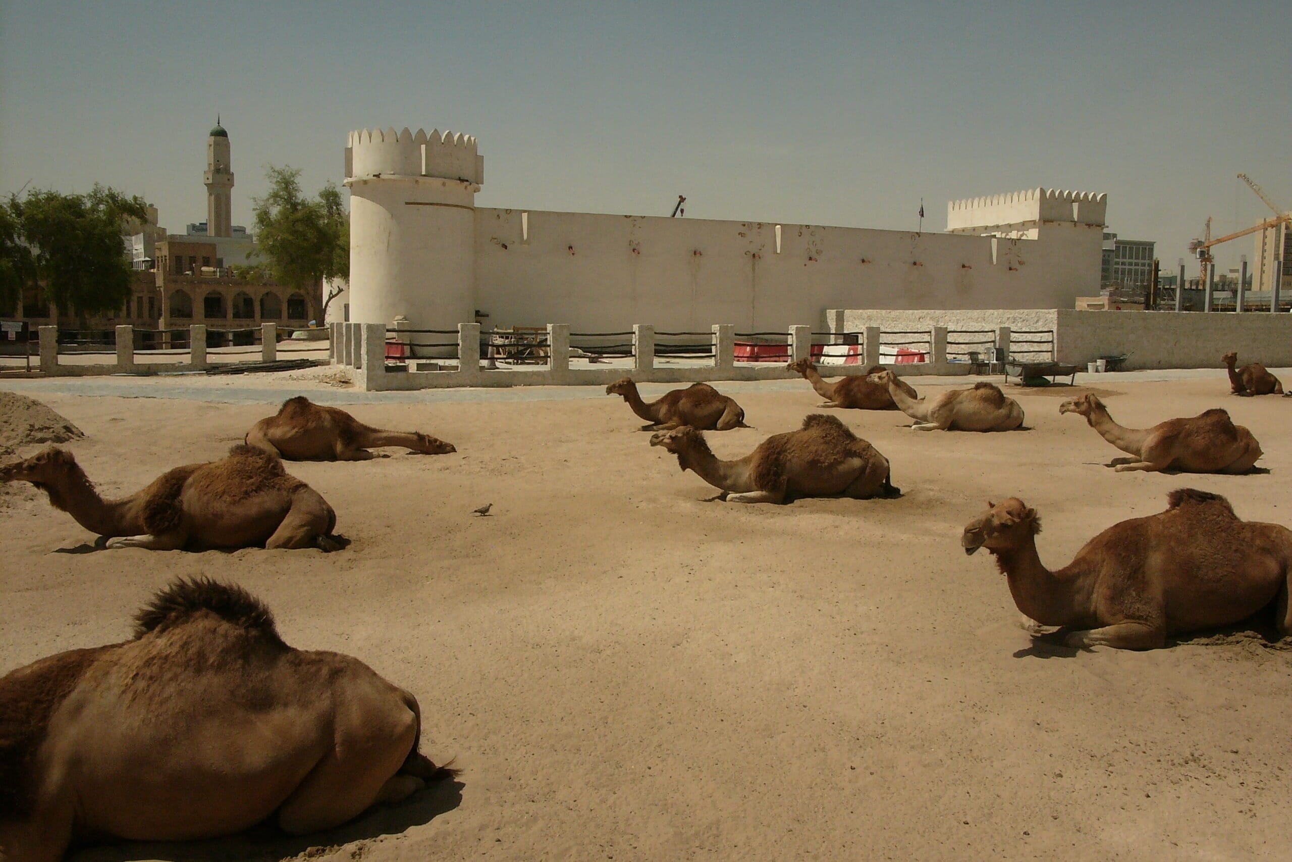 What is the Capital of Qatar | Mappr