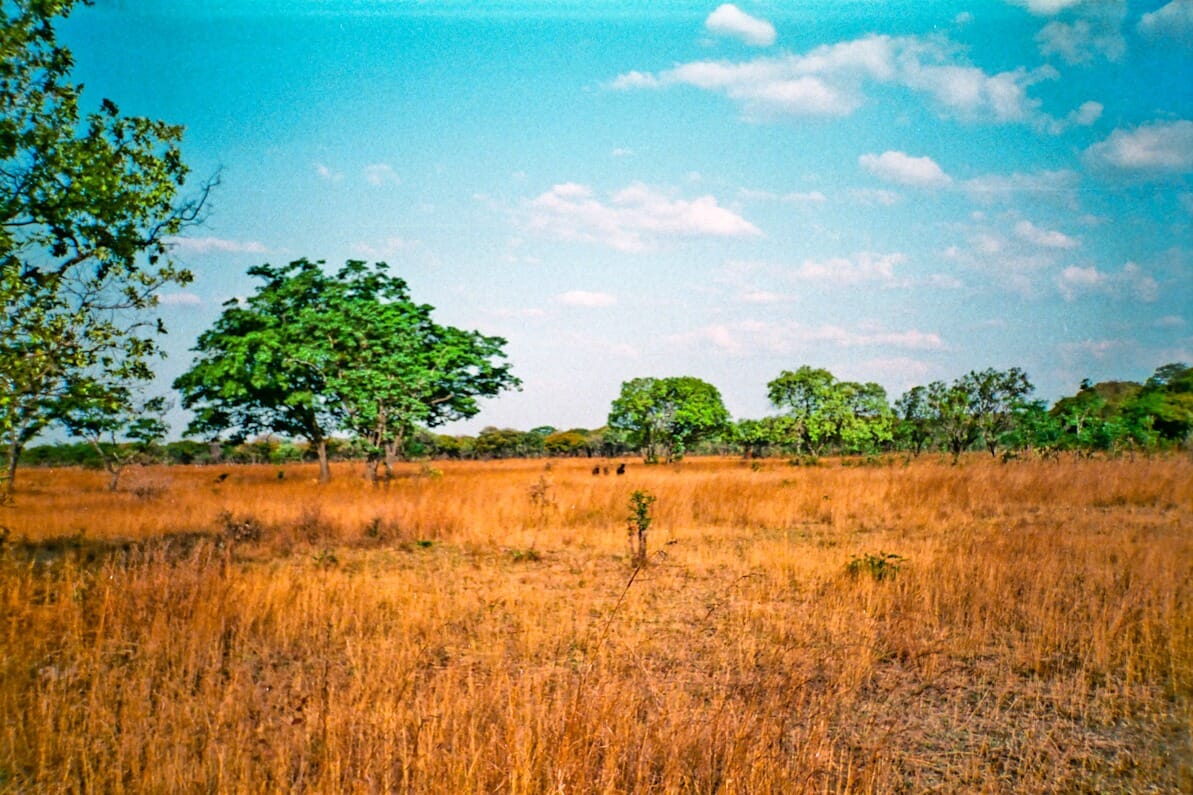 What is the Capital of Zimbabwe? | Mappr