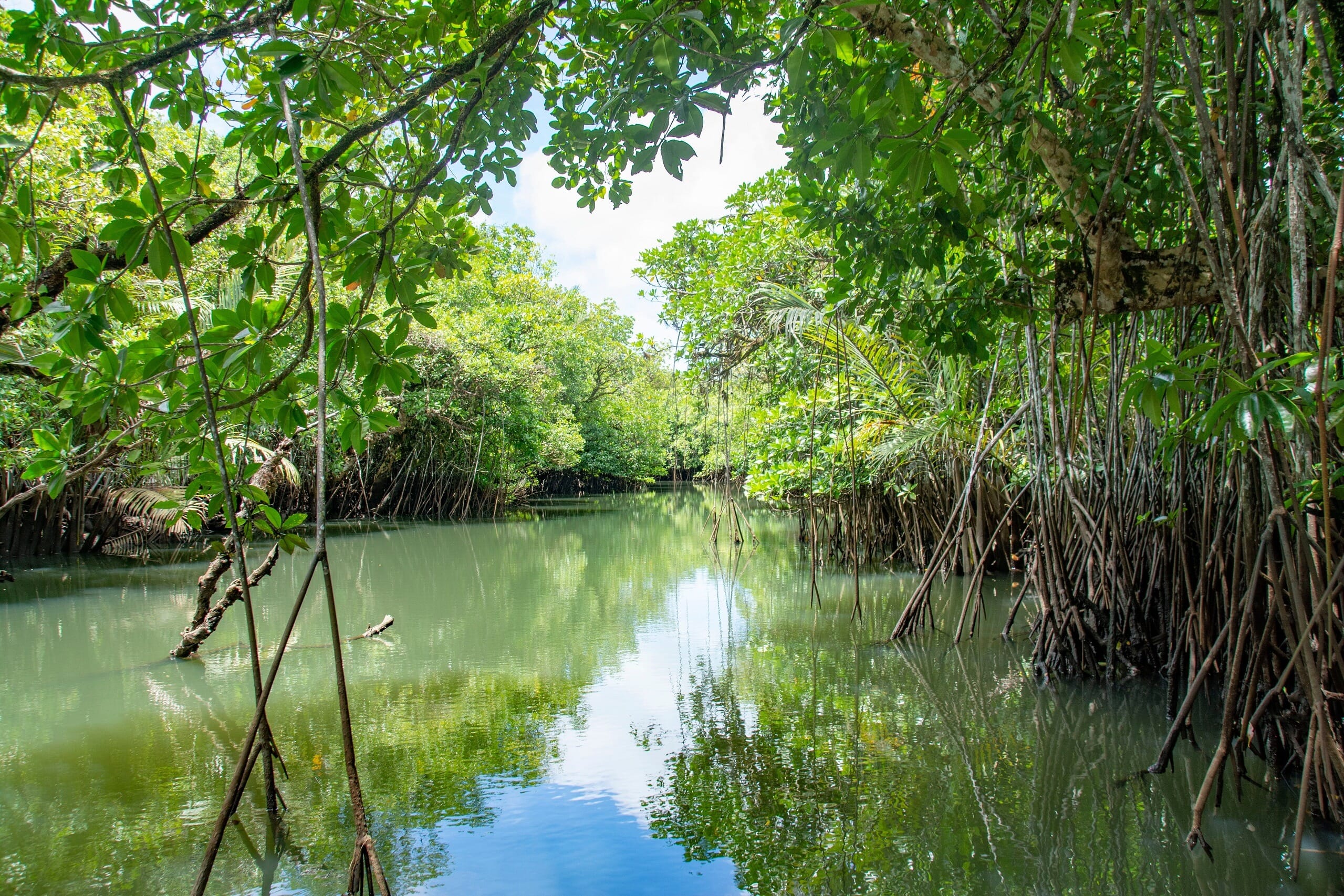 What is the Capital of Palau? | Mappr