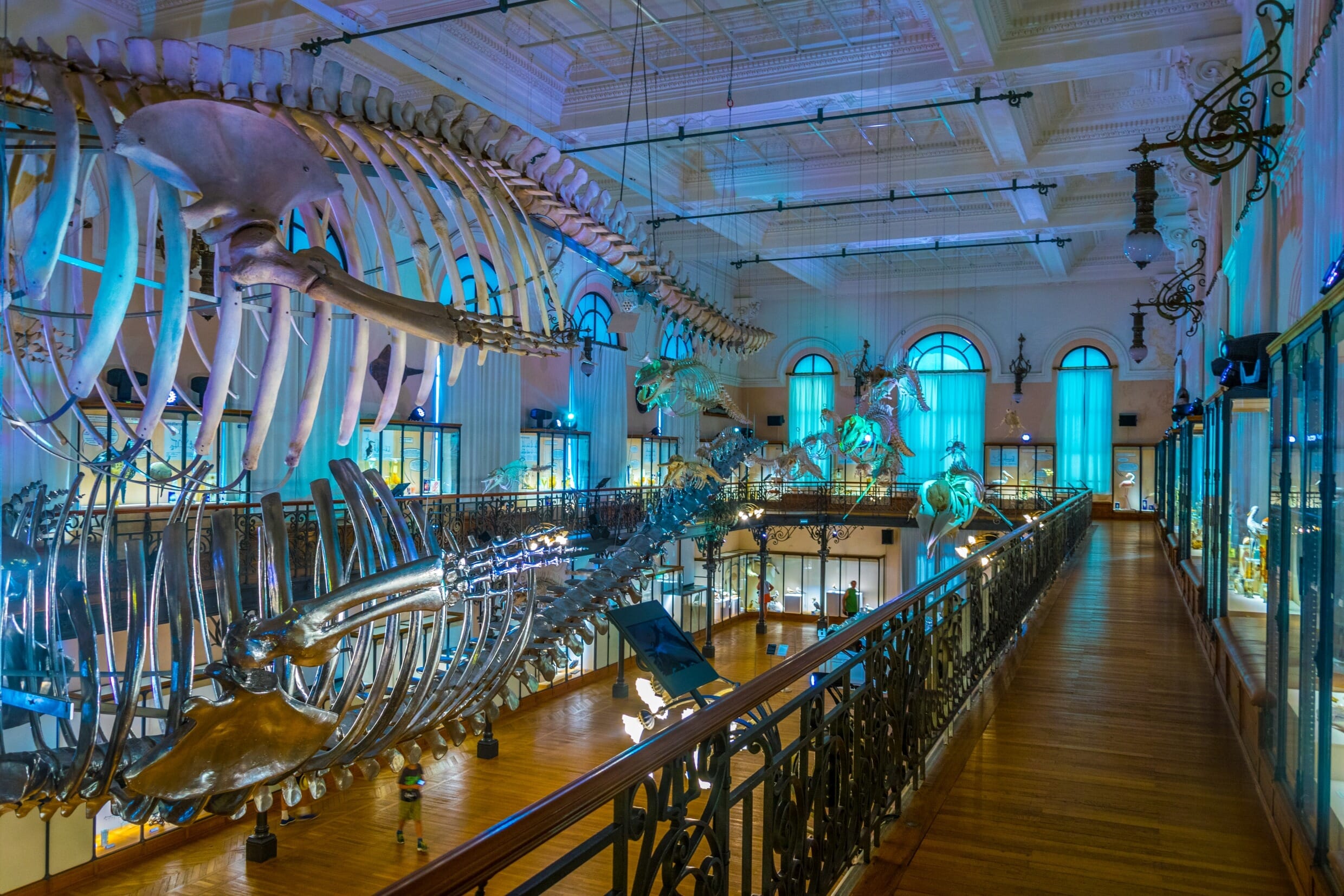 What is the Capital of Monaco? | Mappr