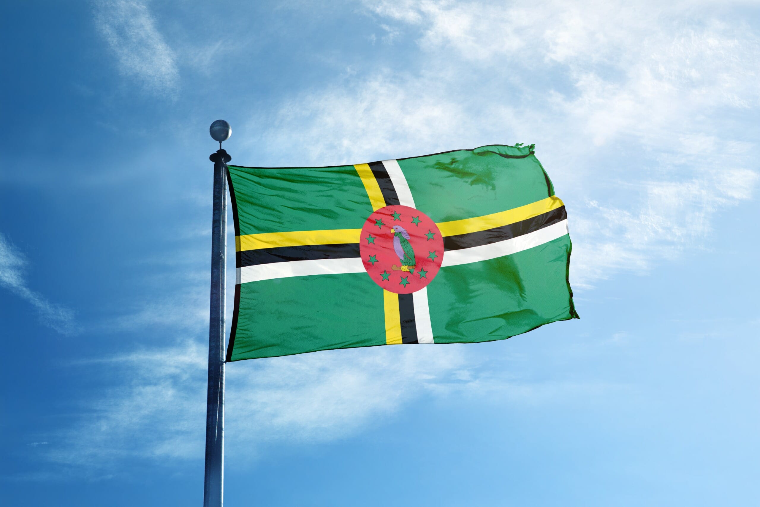 🇩🇲 Dominica Flag Unveiled: Colors, Meaning, Coat of Arms, Flag Map, and ...