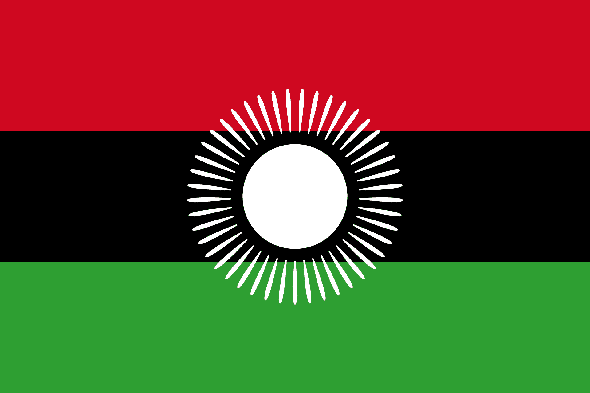 🇲🇼 Malawi Flag Unveiled: Colors, Meaning, Coat of Arms, Flag Map, and ...