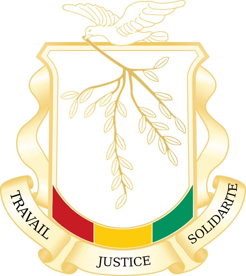 🇬🇳 Guinea Flag Unveiled: Colors, Meaning, Coat of Arms, Flag Map, and ...