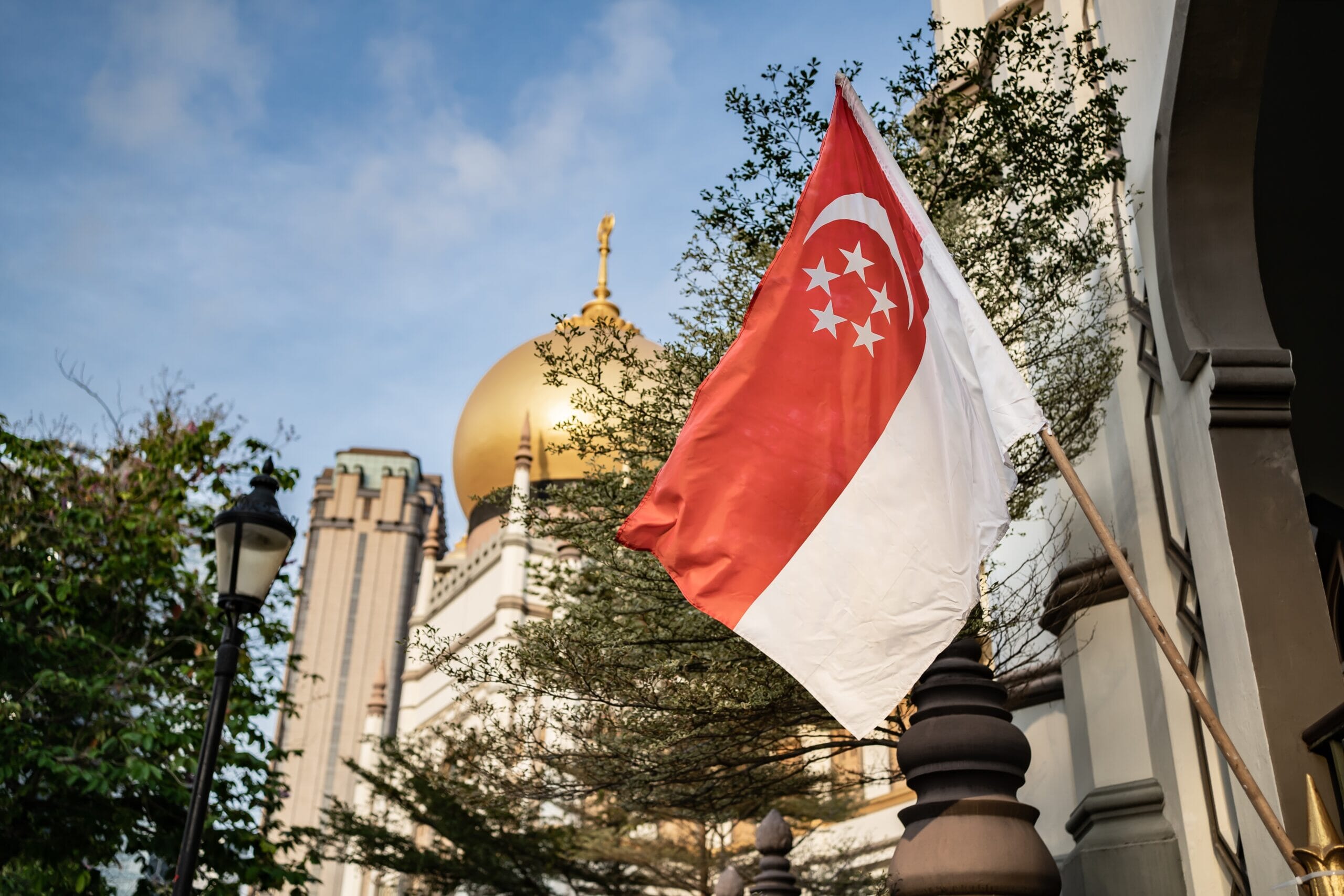 🇸🇬 Singapore Flag Unveiled: Colors, Meaning, Coat of Arms, Flag Map ...