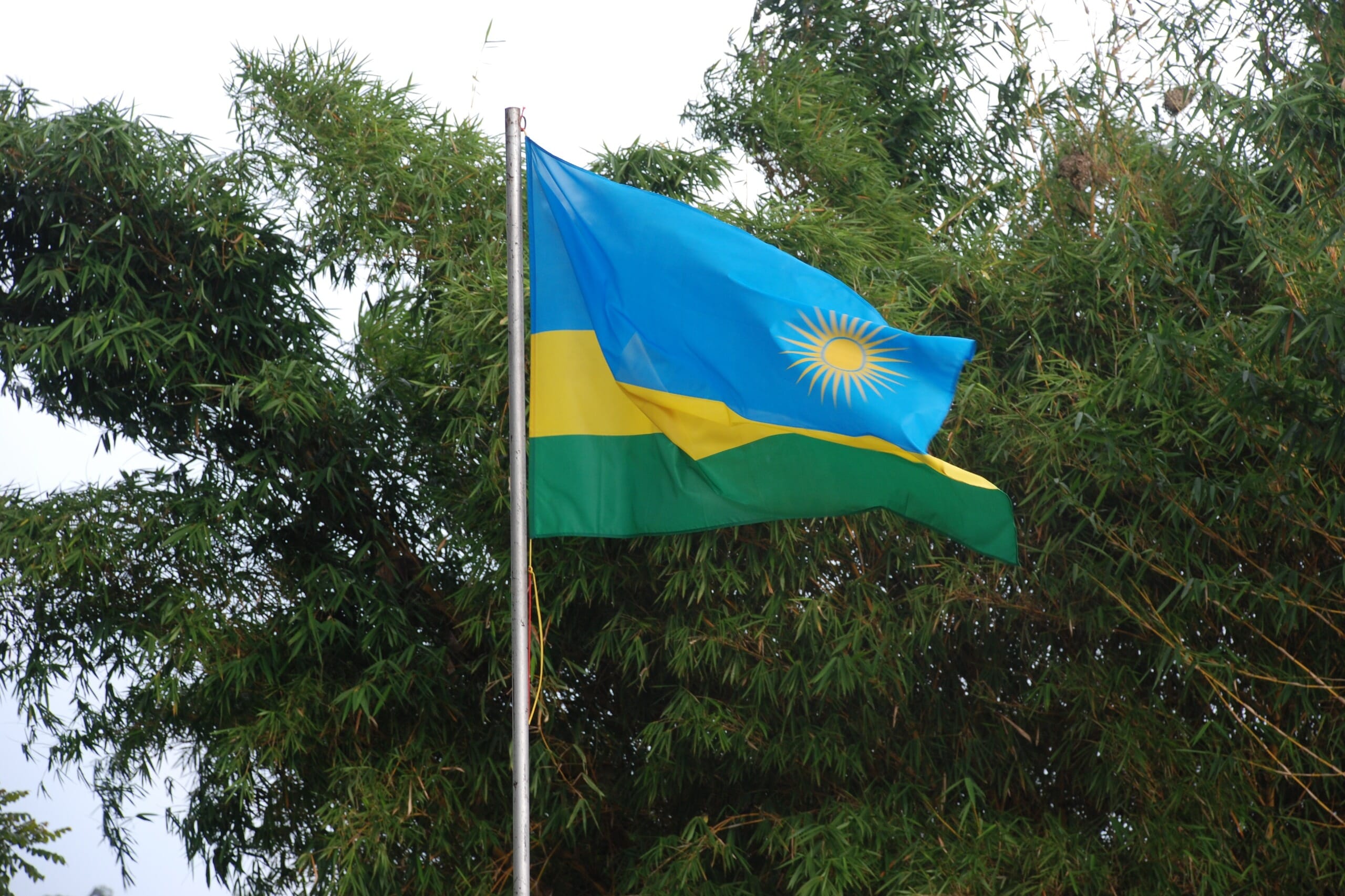 🇷🇼 Rwanda Flag Unveiled: Colors, Meaning, Coat of Arms, Flag Map, and ...