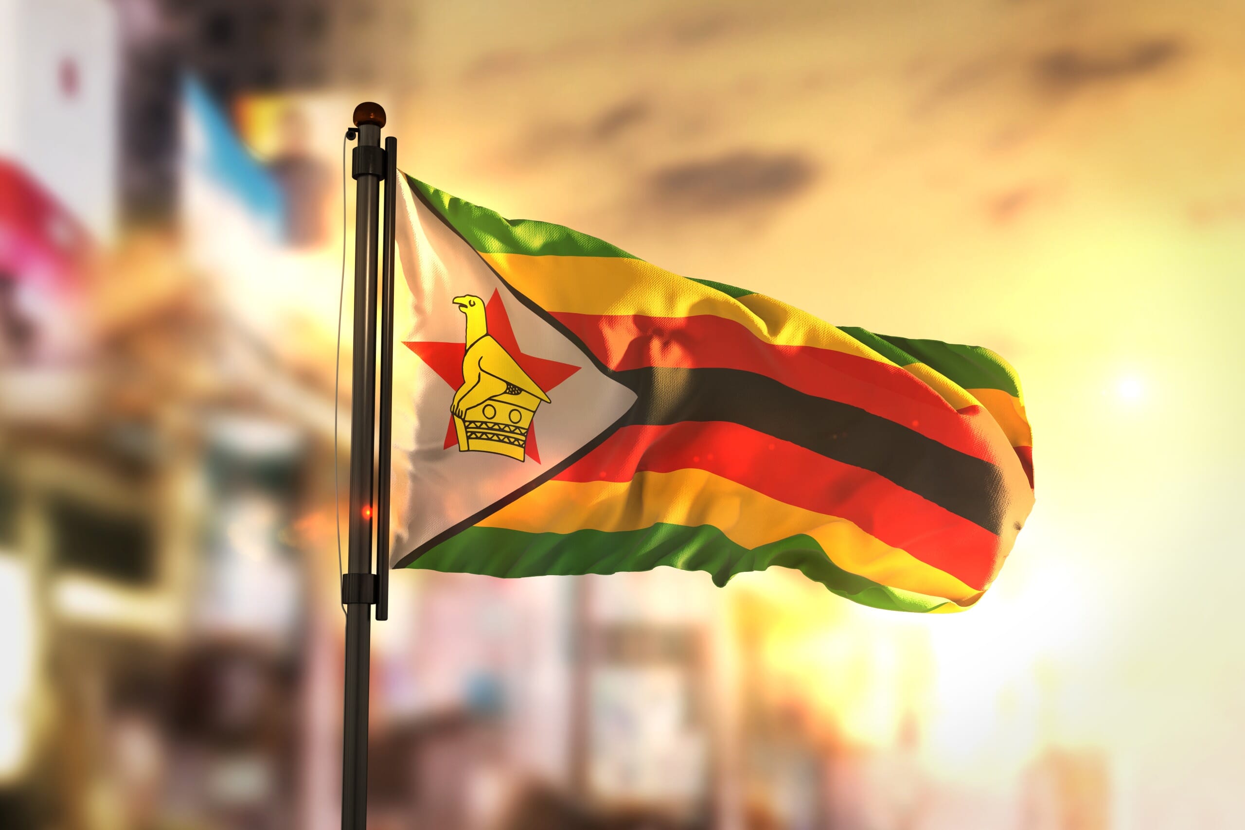 🇿🇼 Zimbabwe Flag Unveiled: Colors, Meaning, Coat of Arms, Flag Map, and ...